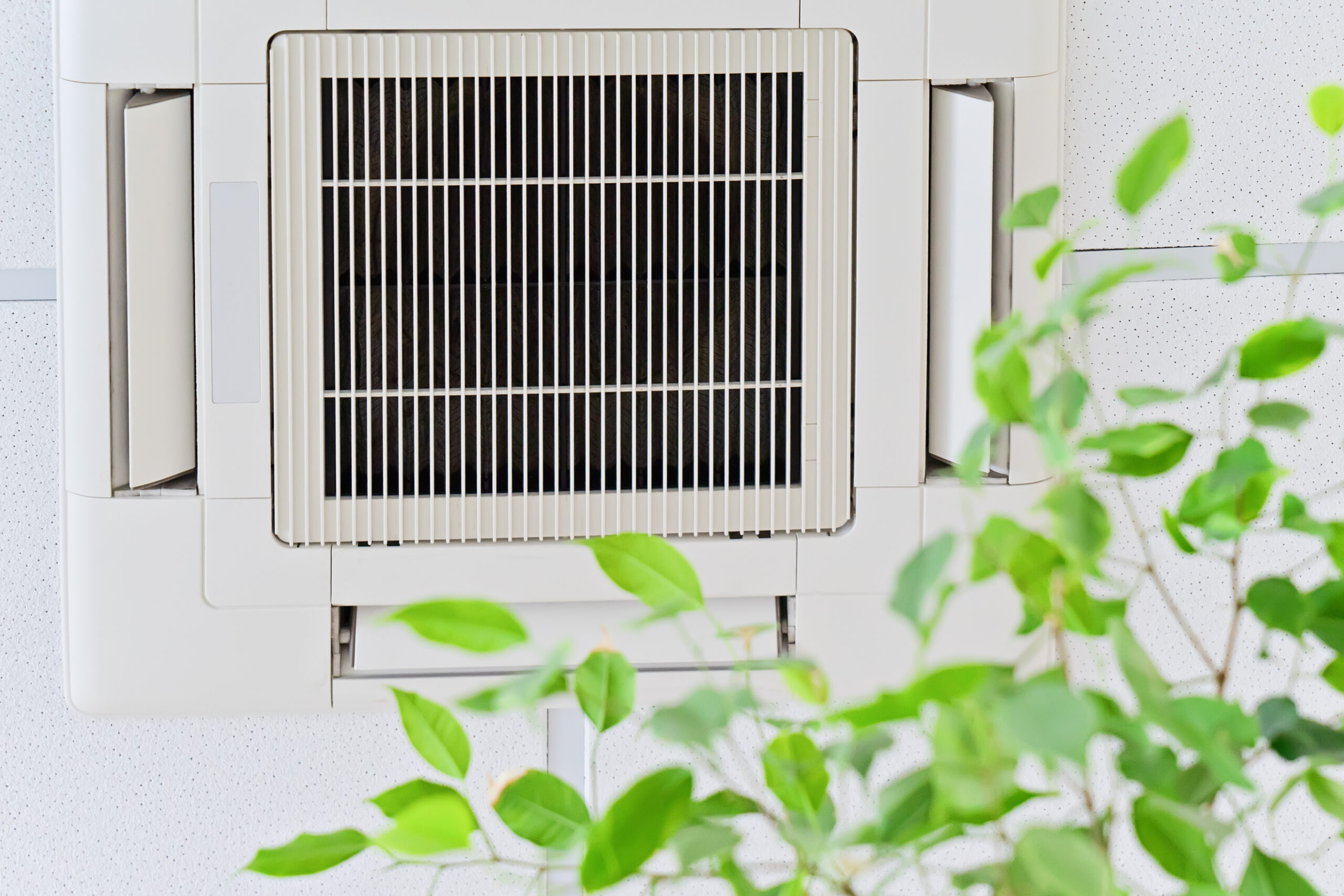 Indoor Air Quality 101 | Mission Air